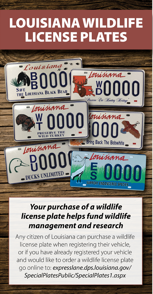 Licenses & Fees - Louisiana Hunting | eRegulations