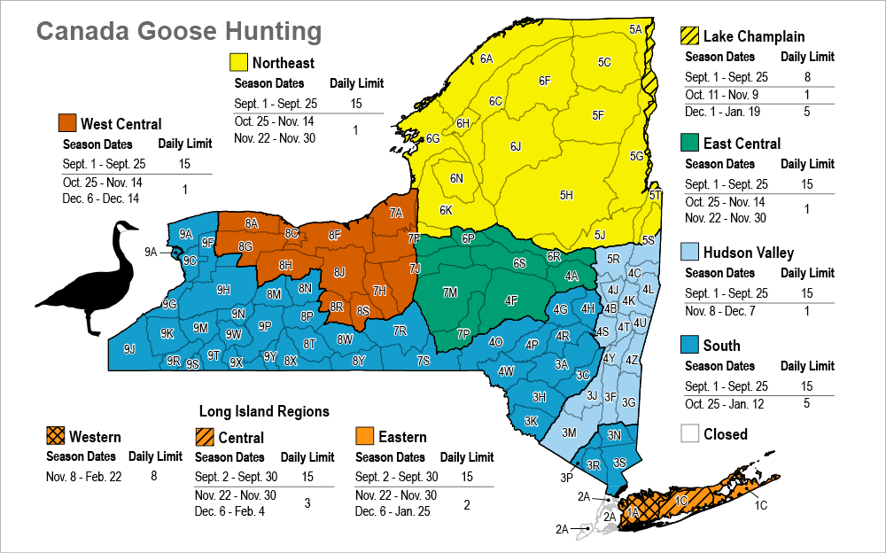 Migratory Game Bird Hunting Seasons & Bag Limits - New York Hunting ...