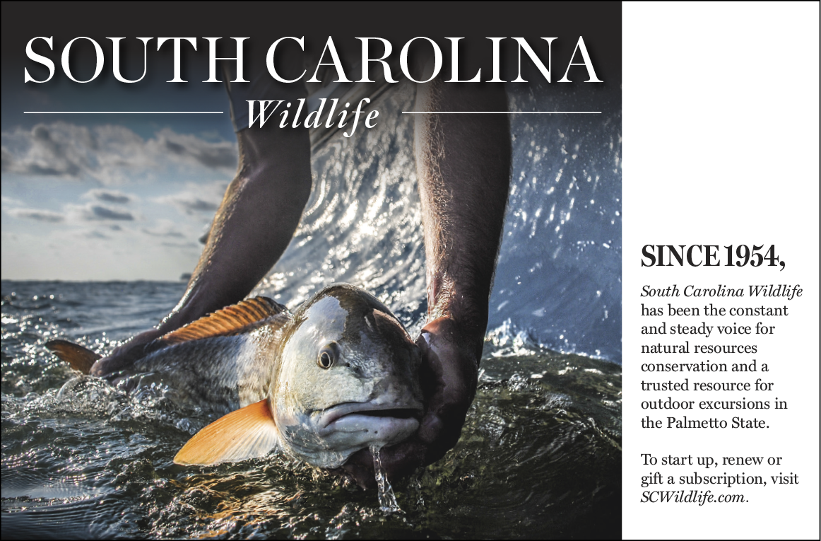 General Rules & Regulations - South Carolina Hunting | eRegulations