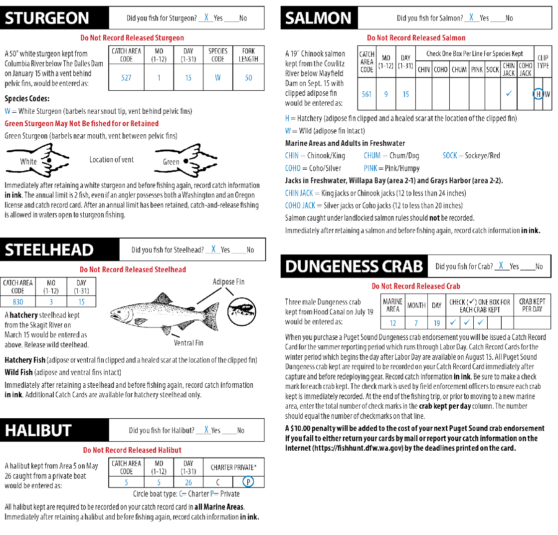Washington Fishing - Catch Record Cards & Codes | eRegulations