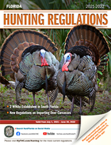 Florida Hunting Seasons & Rules | eRegulations